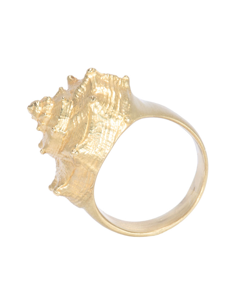 The Golden Eye: King Conch Ring